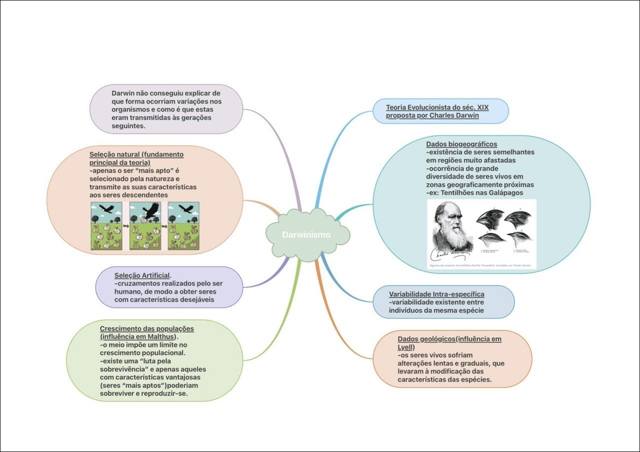Mapas Mentais sobre Teoria De Darwin - Mapa 10