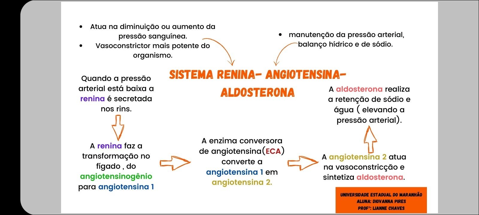 Mapas Mentais sobre Regulação Da Pressão Arterial - Mapa 10