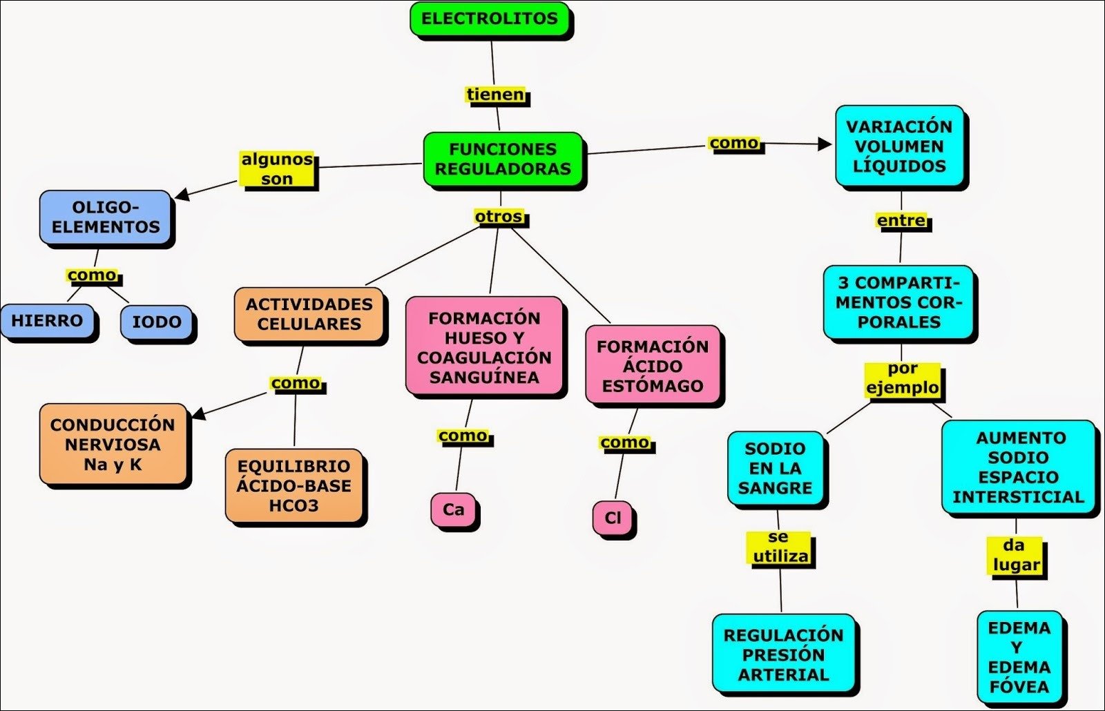Mapas Mentais sobre Regulação Da Pressão Arterial - Mapa 10