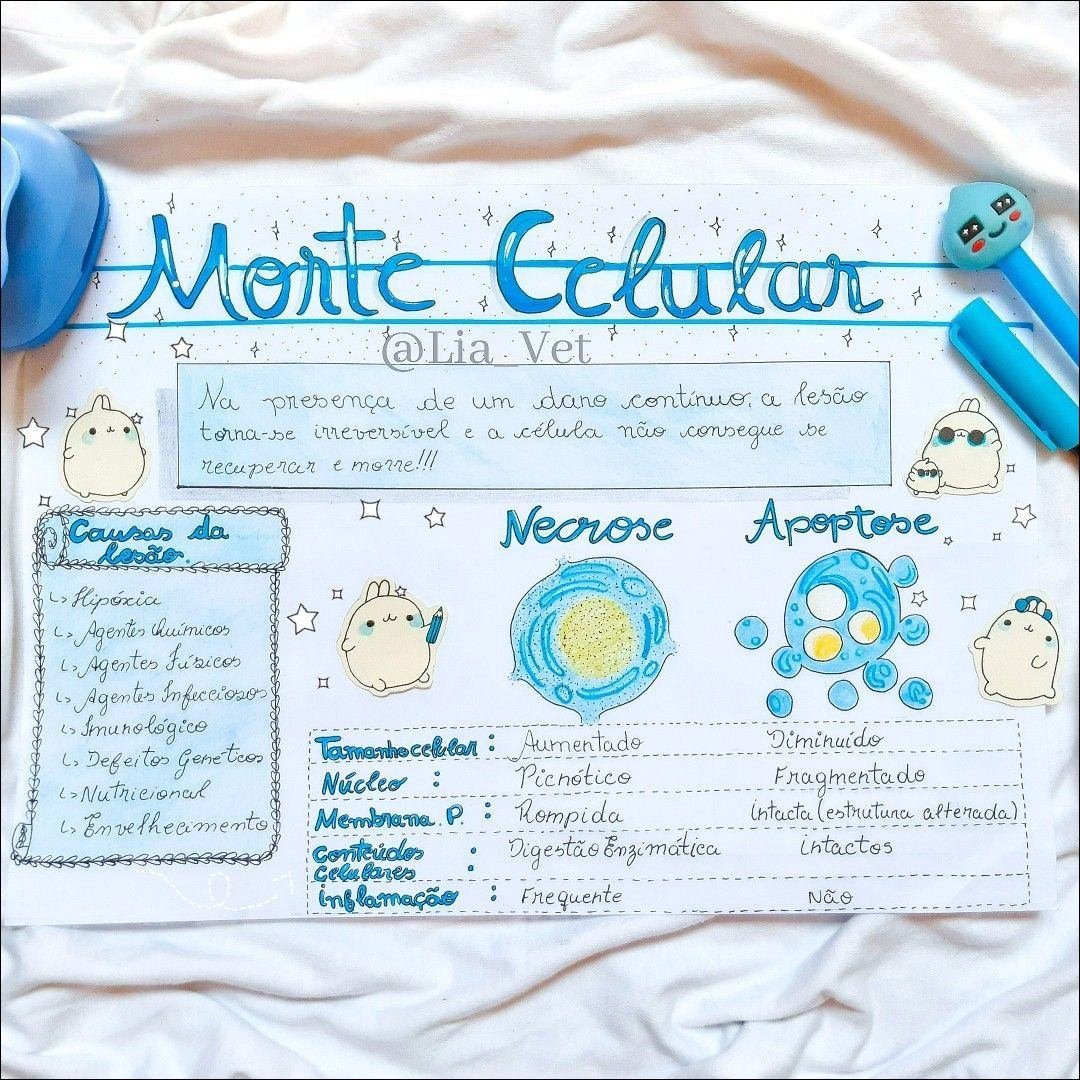 Mapas Mentais sobre Morte Celular - Mapa 10